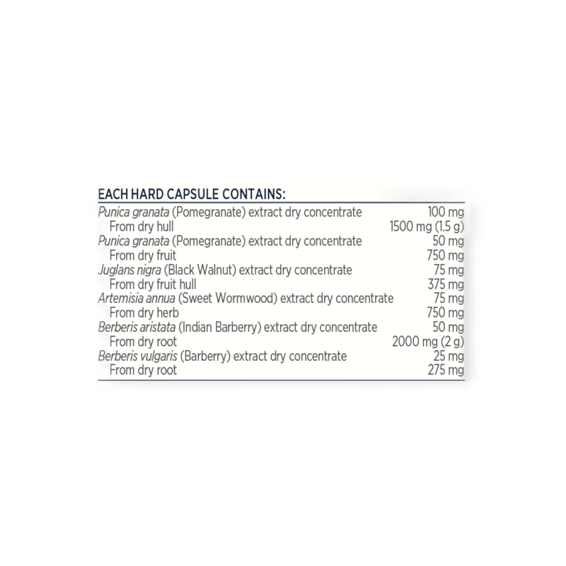 Designs for Health GI Microb-X 60 capsules – Health Squad